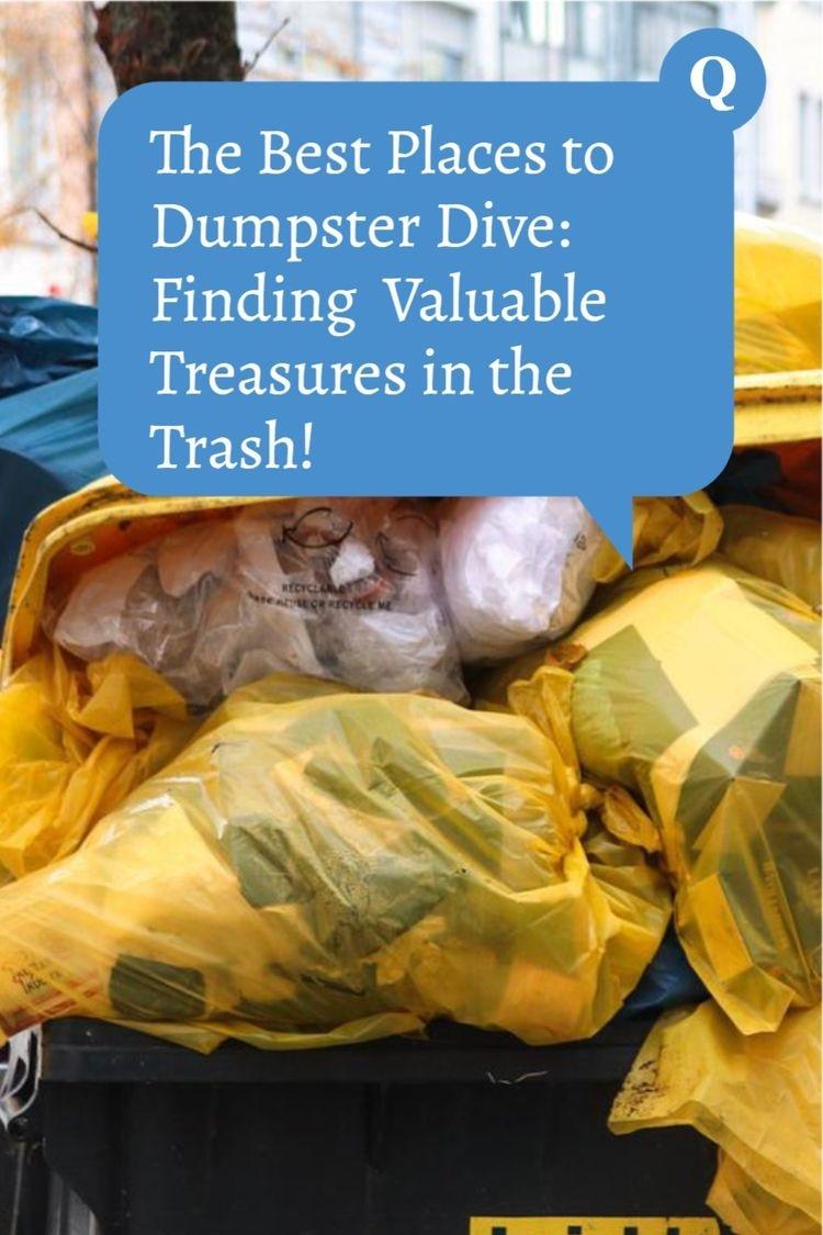 The Best Places To Dumpster Dive Find Valuable Treasures In The Trash The Best Places To Dumpster Dive Find Valuable Treasures In The Trash